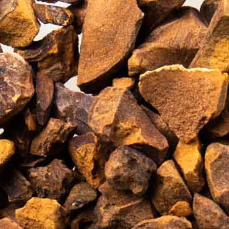 Kola Nut: Energy Boost & Focus | Dallas Apothecary & Bulk Herbs ...