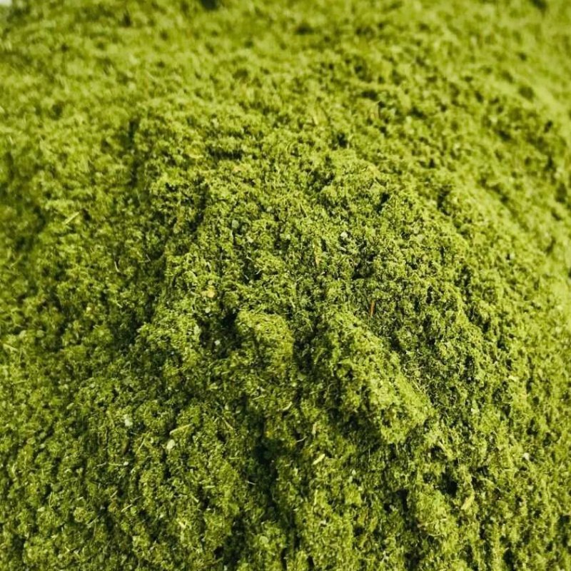 Neem Leaf for Skin & Immune Support | Dallas Apothecary & Bulk Herbs ...